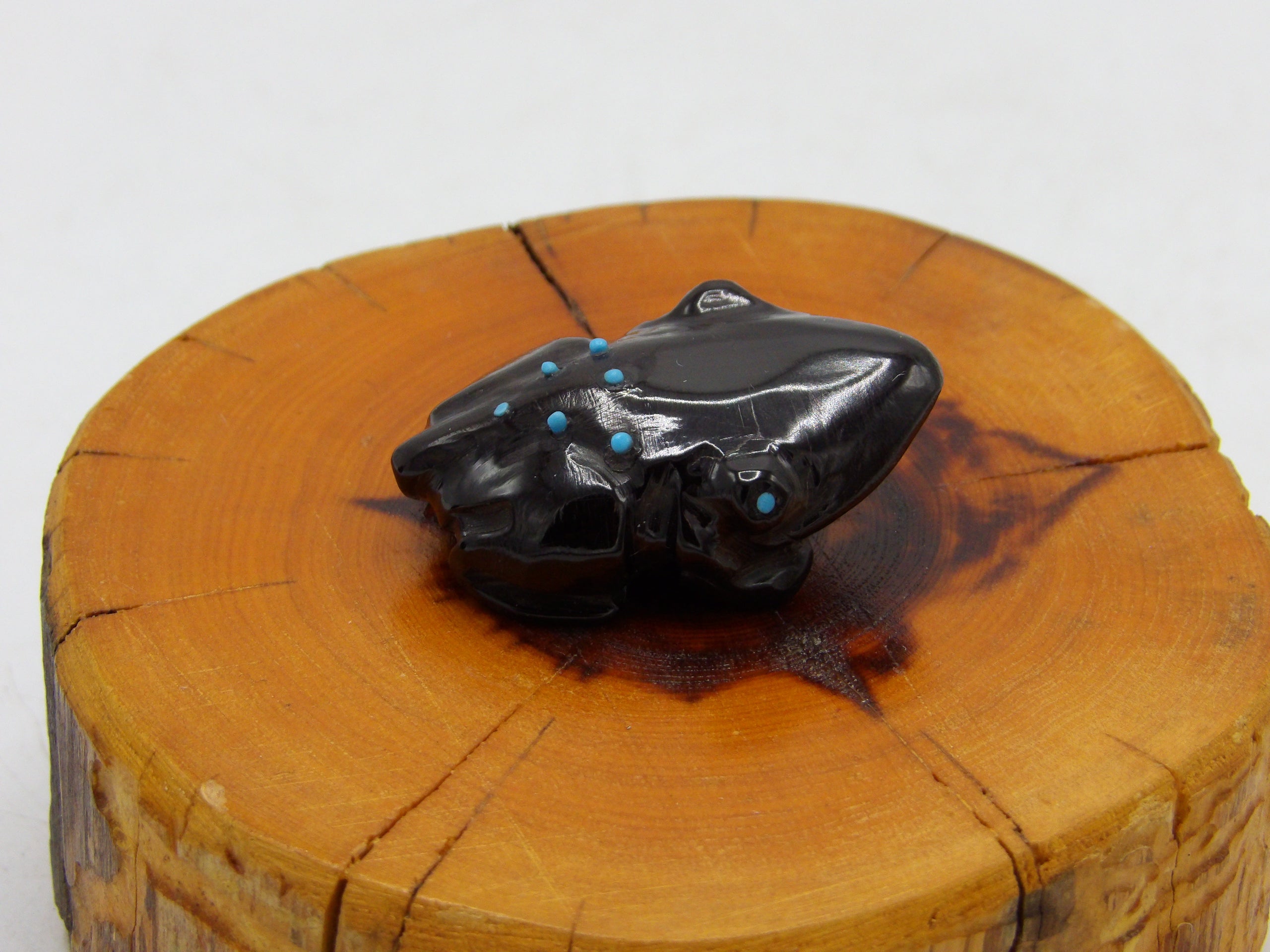 Black Jet Frog By Jimmy Yawakia 423148N | ARTZ COOPERATIVE